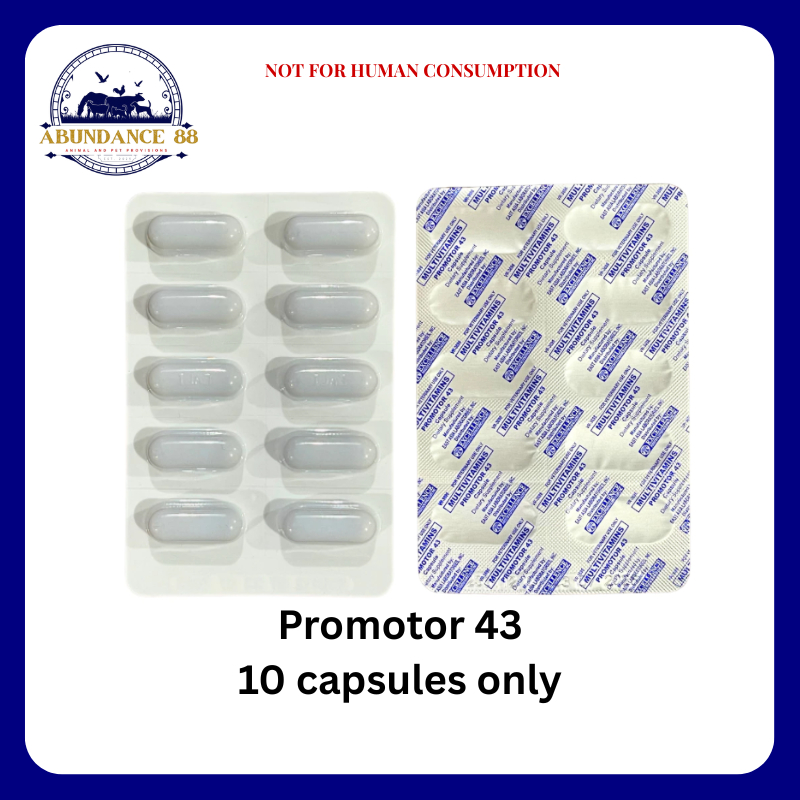EXCELLENCE PROMOTOR 43 CAPSULES - 10 CAPSULES ONLY (1 BANIG) | Shopee ...