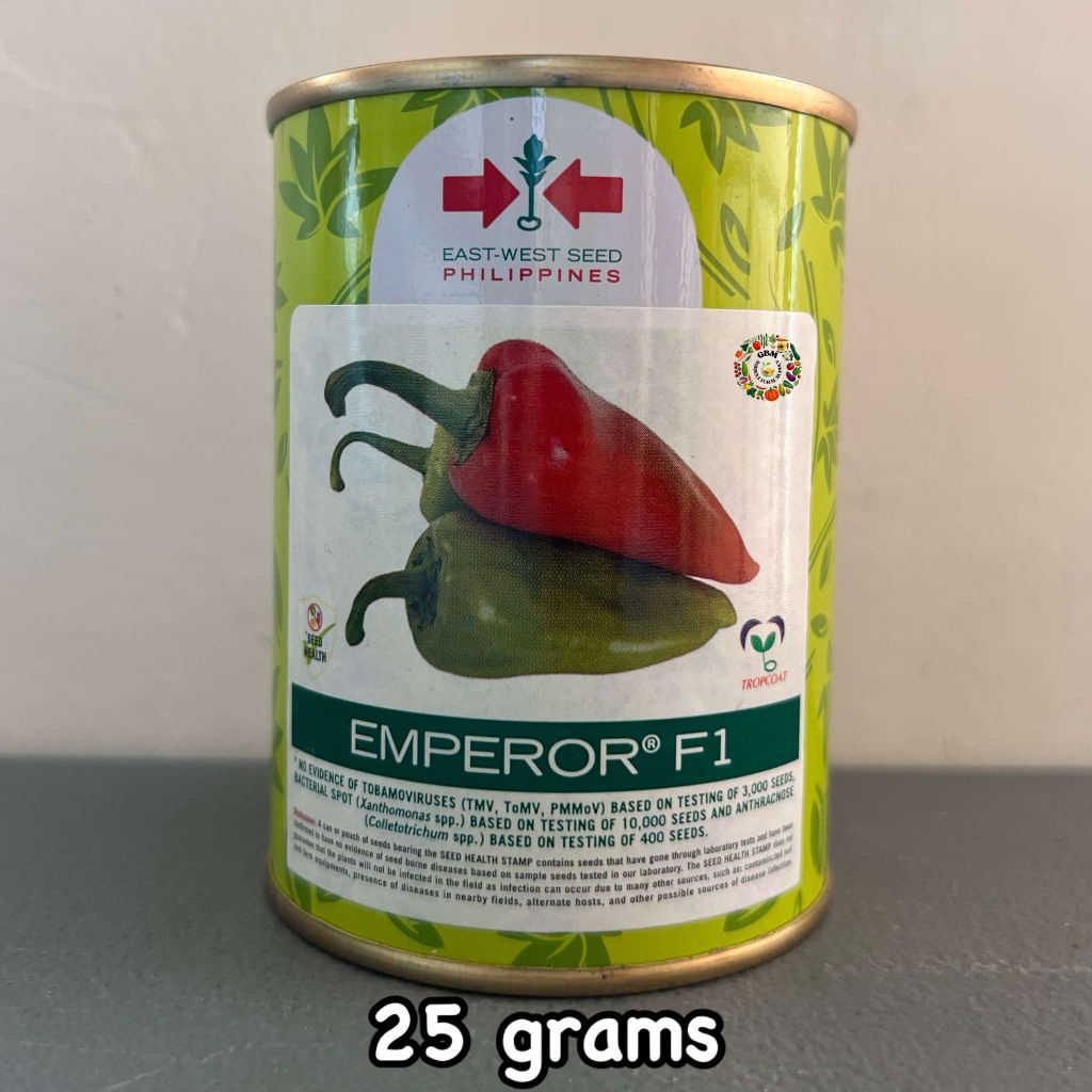 EMPEROR F1 (25g) EAST WEST HYBRID BELL PEPPER SWEET PEPPER ATSAL SEED ...
