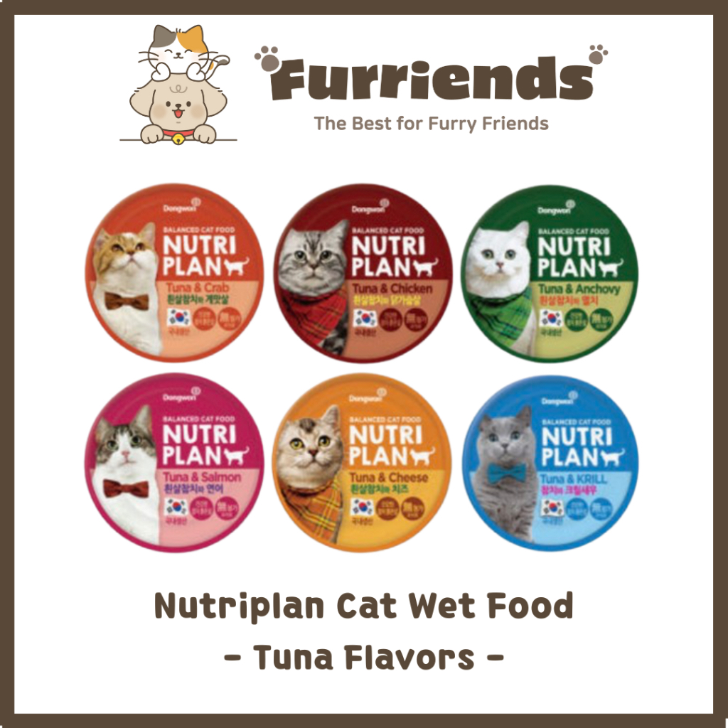 Korean Cat Wet Food Nutriplan Cat Wet Food Cat Canned Wet Food Cat nutritious wet food Tuna Cat ...