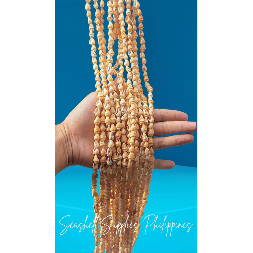 Dove Shell Palay Strand 36” – Real Seashell Beads, Natural White for ...