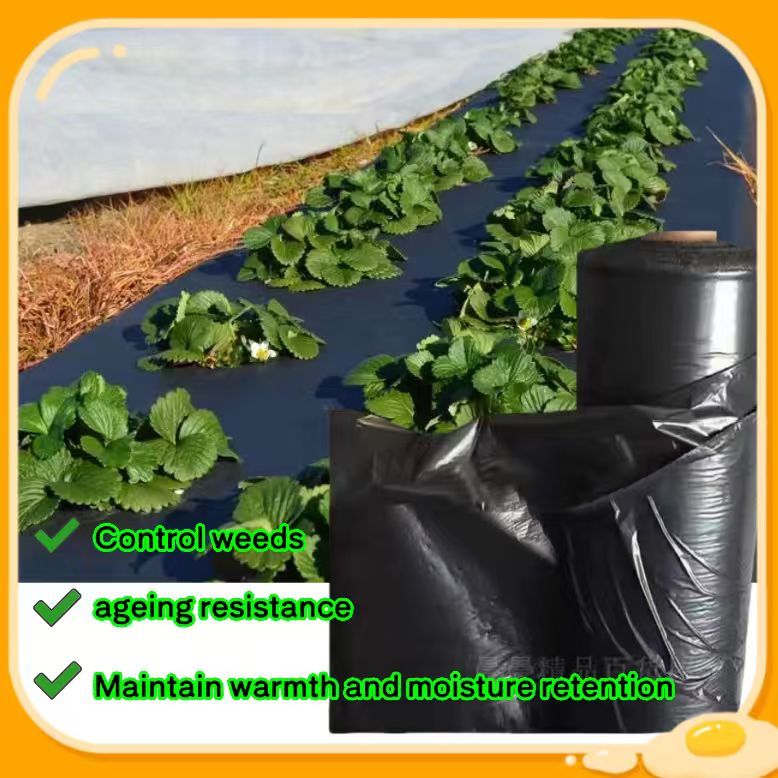 40 micrometers PLASTIC MULCH FILM 80cmx200m/600m Enhanced version ...