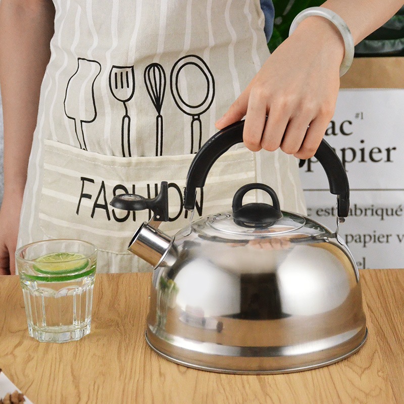 3L ORDINARY Whistling Kettle Stainless Steel Takure Whistling Boiling ...