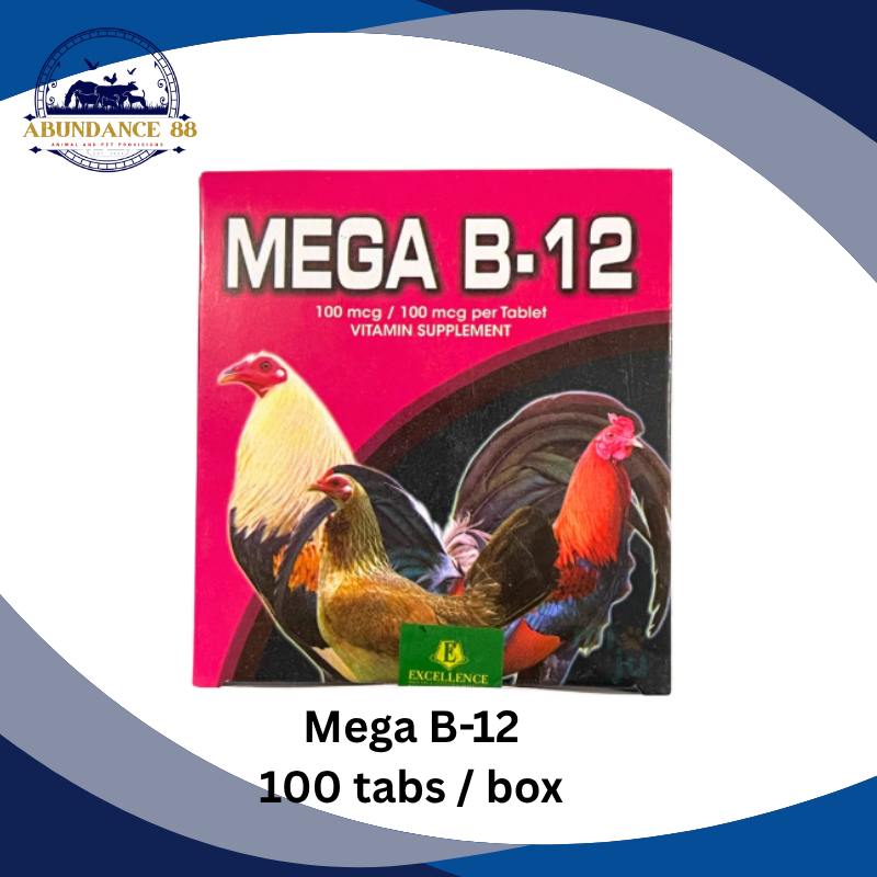 EXCELLENCE MEGA B-12 CAPSULE (100 CAPSULES) - 1 BOX | Shopee Philippines