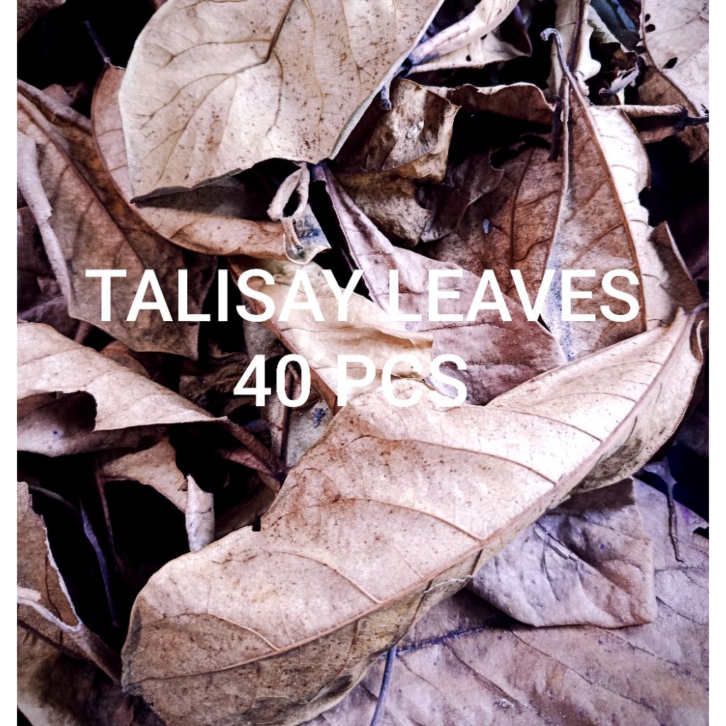 Talisay Leaves for Betta fish | Shopee Philippines