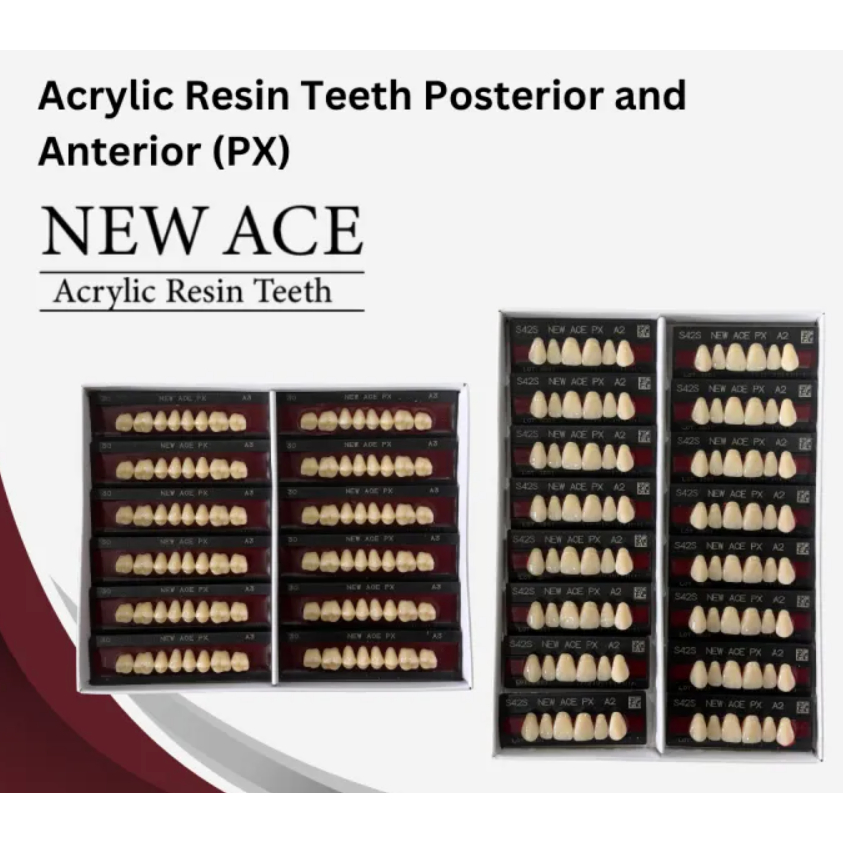 NEW ACE PX Composite Resin Teeth HV=45/ Anterior & Posterior Pontics ...