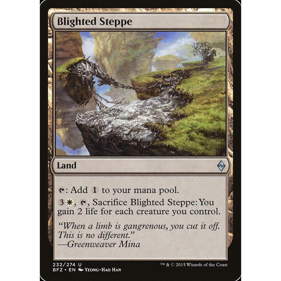 BLIGHTED STEPPE MAGIC THE GATHERING TCG | Shopee Philippines