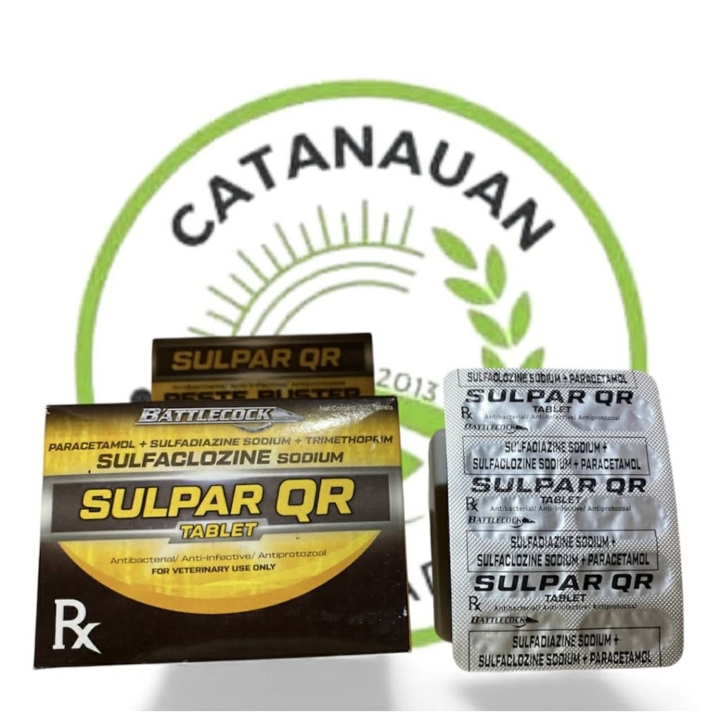 SULPAR QR TABLET(SOLD PER banig 10 pcs) | Shopee Philippines