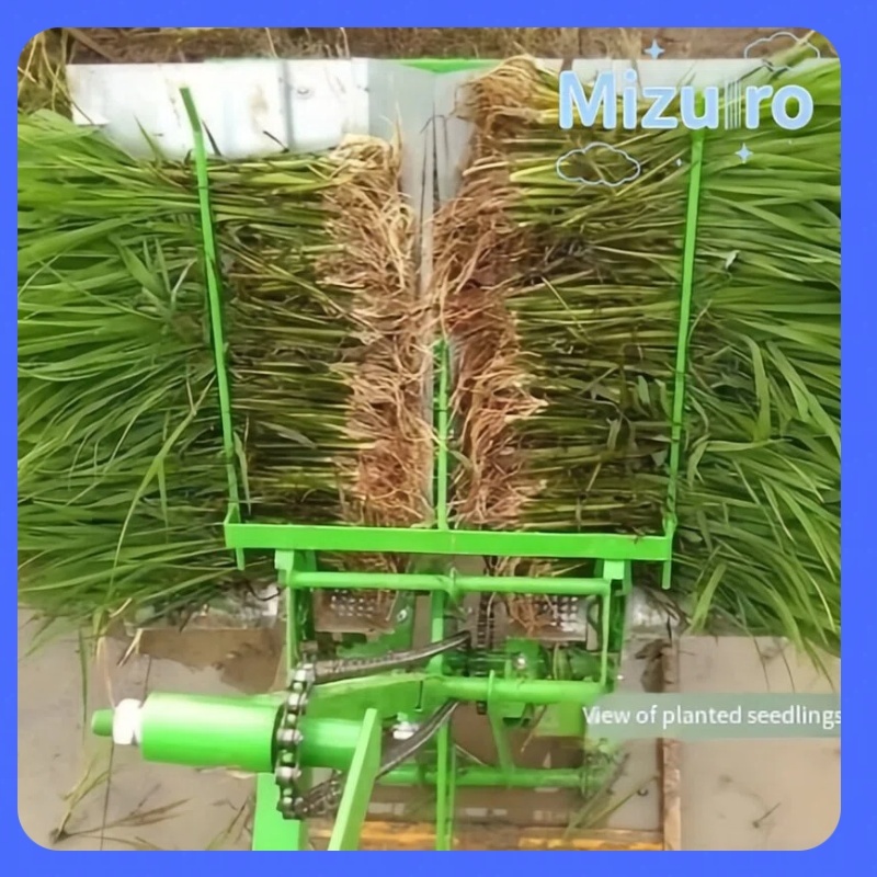 [COD] new manual rice transplanter, new double row rice transplanter ...