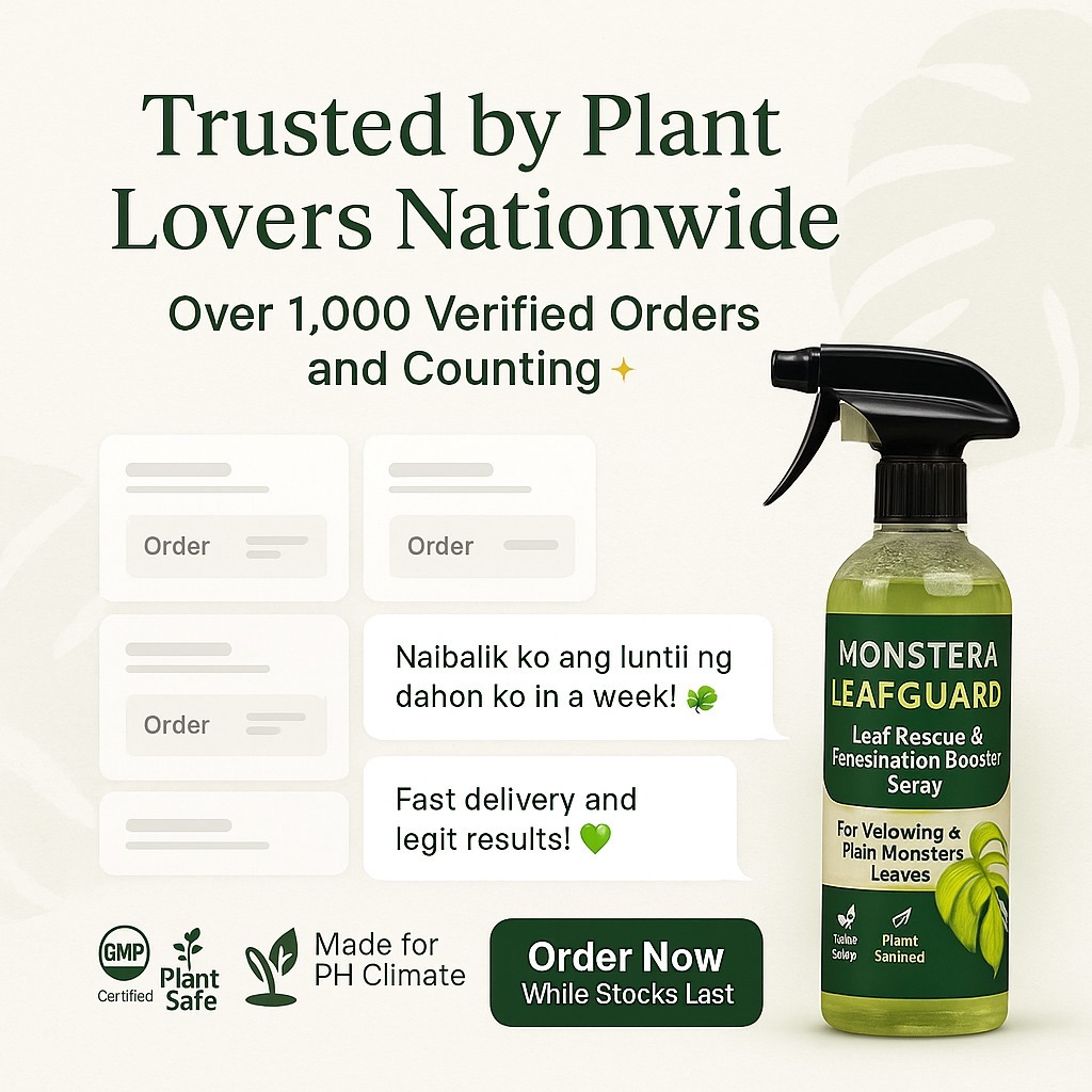 Monstera LeafGuard Spray Rescue Yellow Leaves Add Shine & Boost ...