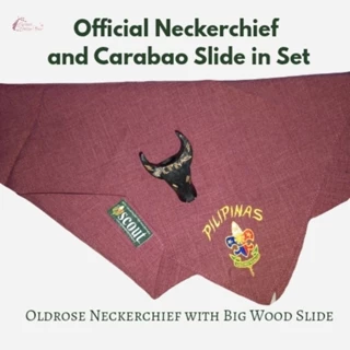 Shop boy scout neckerchief for Sale on Shopee Philippines