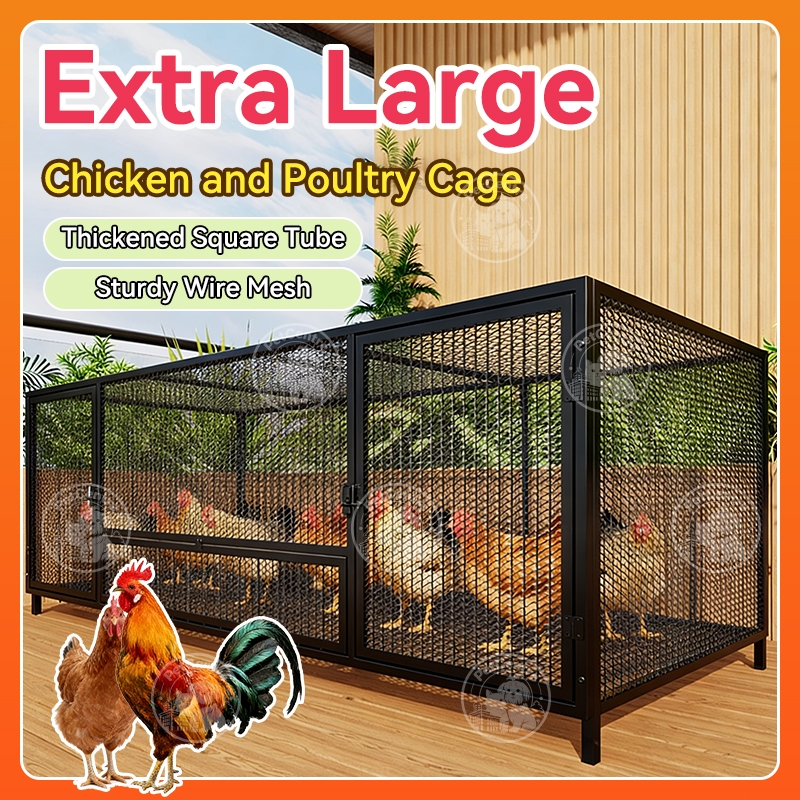 Chicken cage for laying egg chicken cage assemble chicken coop ...
