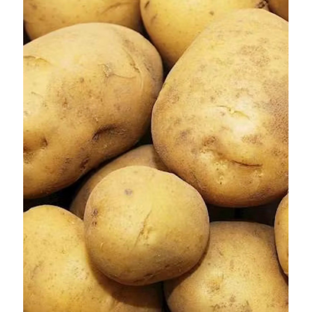 Baguio Fresh Patatas 500grms medium to large | Shopee Philippines