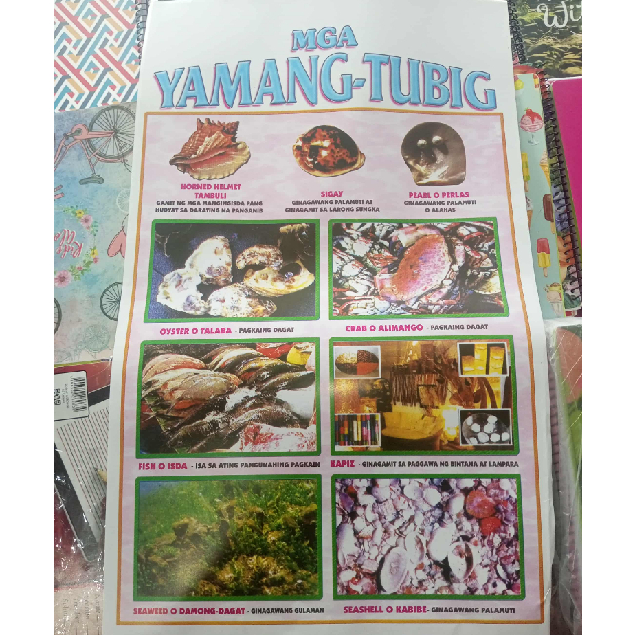 Chart of Yamang Tubig/ Yamang Lupa for Educational Learning Kids ...