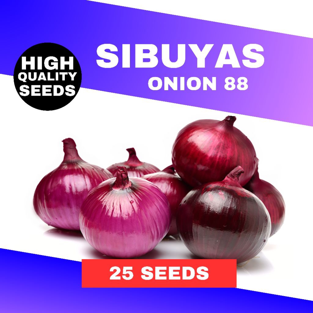 Pinoy Urban Gardener Sibuyas Seeds | Shopee Philippines