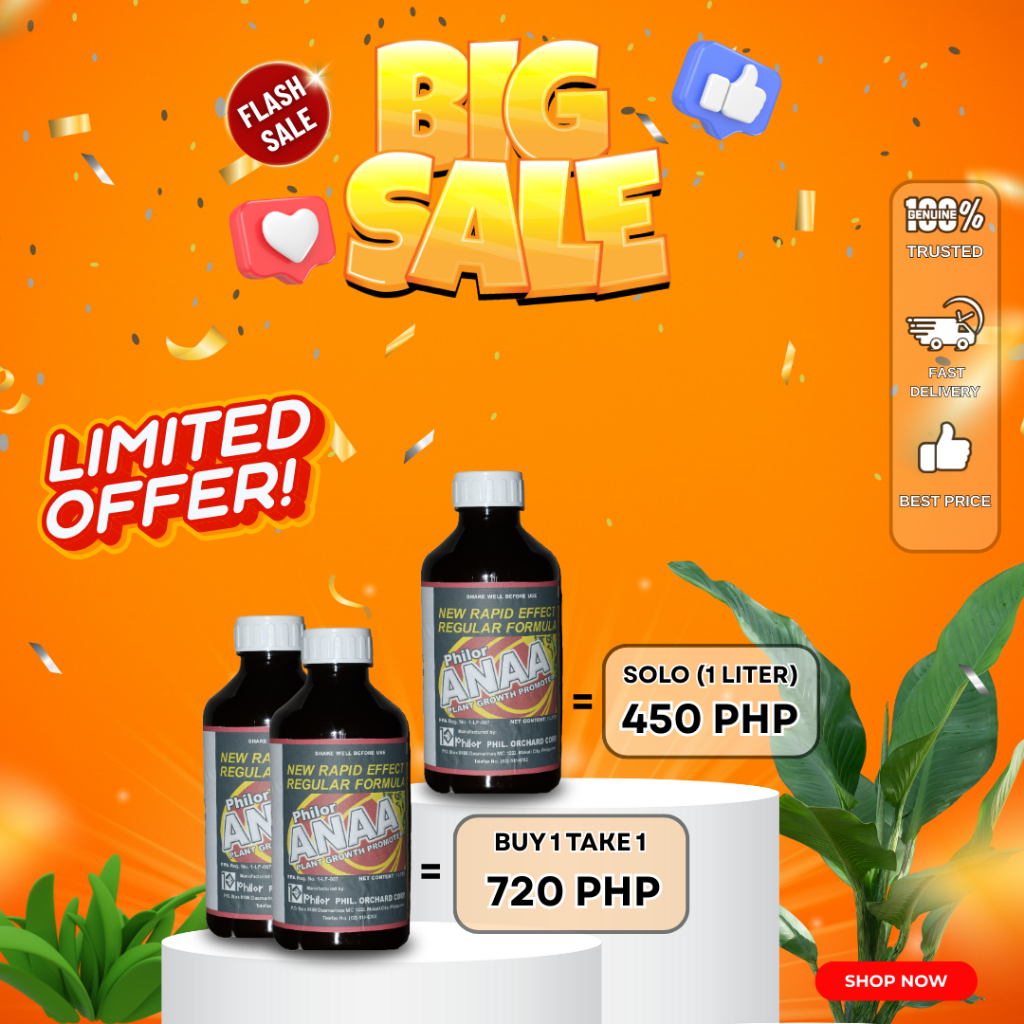 Value Pack: Buy 1 Take 1 Gardening Formula - PHILOOR ANAA 1000ML ...