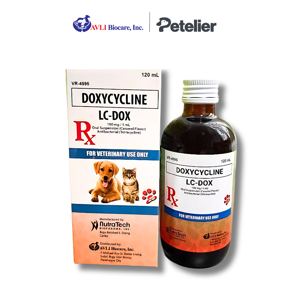 LC Dox Syrup Suspension Antibacterial 60/120ml for Cats and Dogs ...