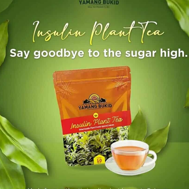 All Natural Insulin Premium Plant Tea : 10 Tea Bag Product of Yamang ...