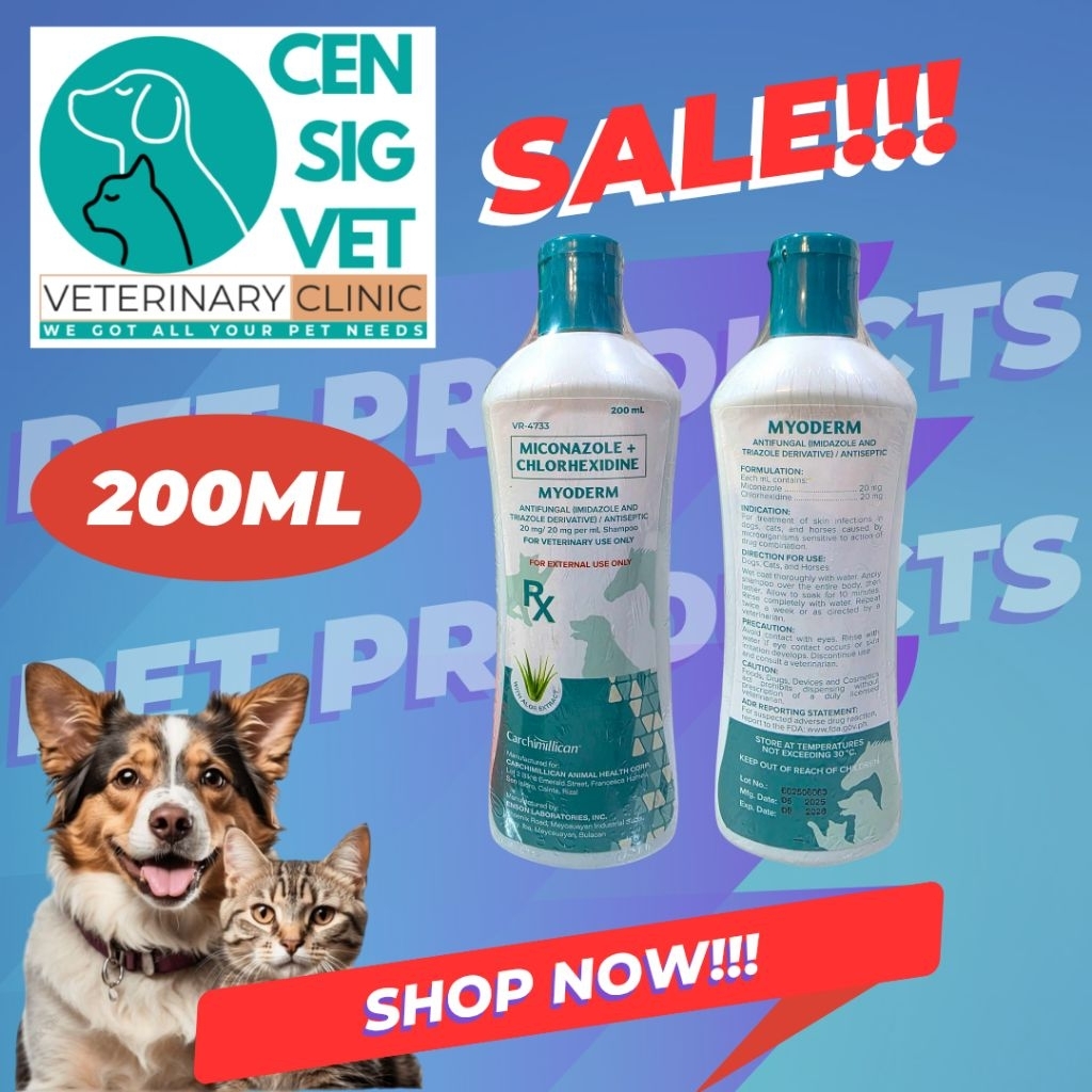 Myoderm Miconazole + Chlorhexidine Antifungal/Antibacterial Medicated ...