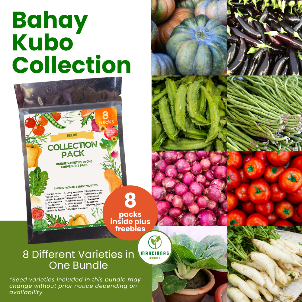 Bahay Kubo Mix Seeds Vegetable Seeds Pack Vegetable Garden Seeds ...