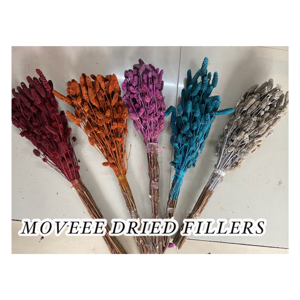 MOVEE DRIED FILLERS FOR FLOWER BOUQUET DRIED | Shopee Philippines