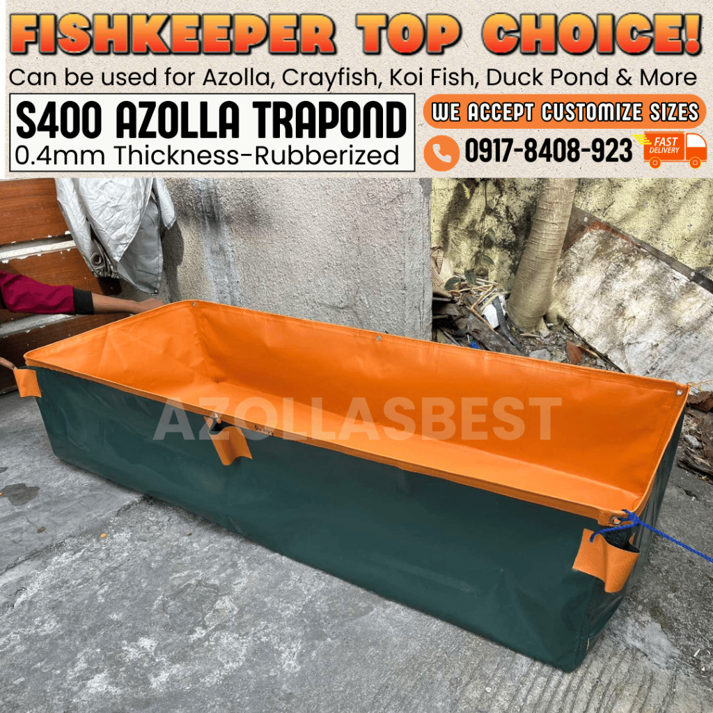 4x2x2 4x8x 4x10x2 6x2x2 FEET S400 Azolla Pond Original Fish Pond Fish ...