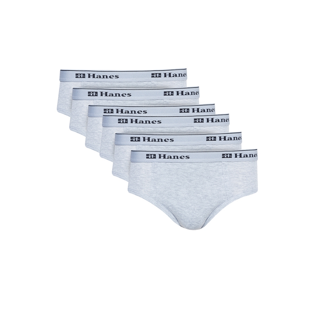 Hanes Heather Gray 6-Pack Smart Hipster Brief 1303 | Shopee Philippines