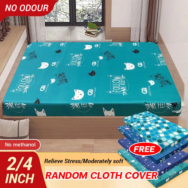 Single/Double/Queen Size Foam Bed Mattress Thick Foldable Foam Student ...