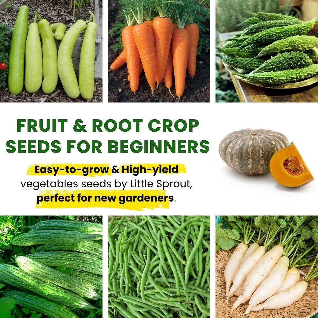 Vegetable Seeds: Fruit & Root Crop Seeds (with Step-by-step Planting ...