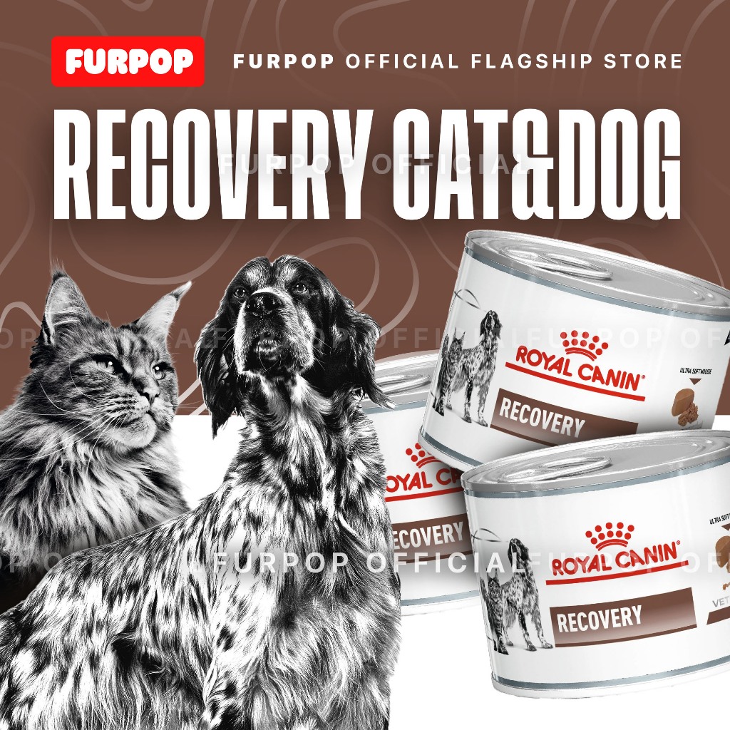 Royal Canin Recovery 195g Cat and Dog Food | Shopee Philippines