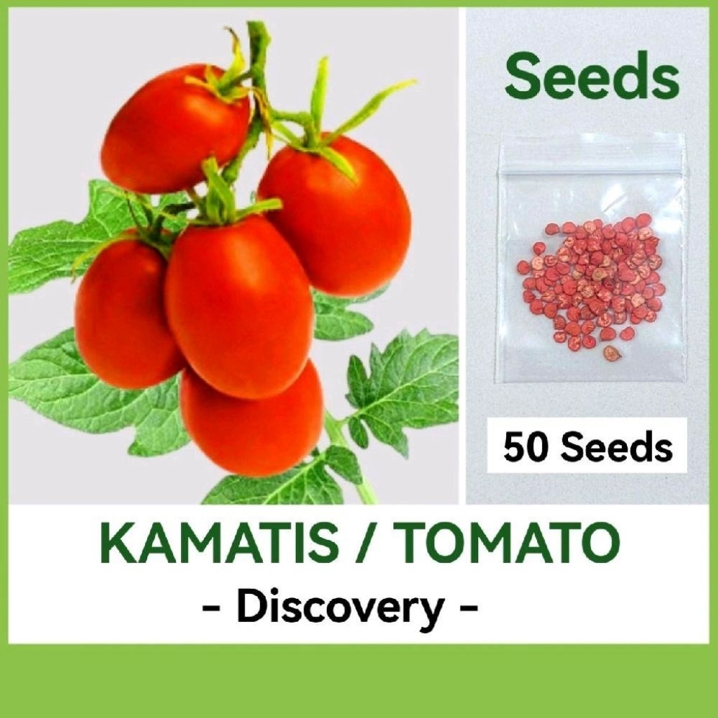 KAMATIS, TOMATO SEEDS - Discovery Variety - Vegetables Seeds | Shopee ...