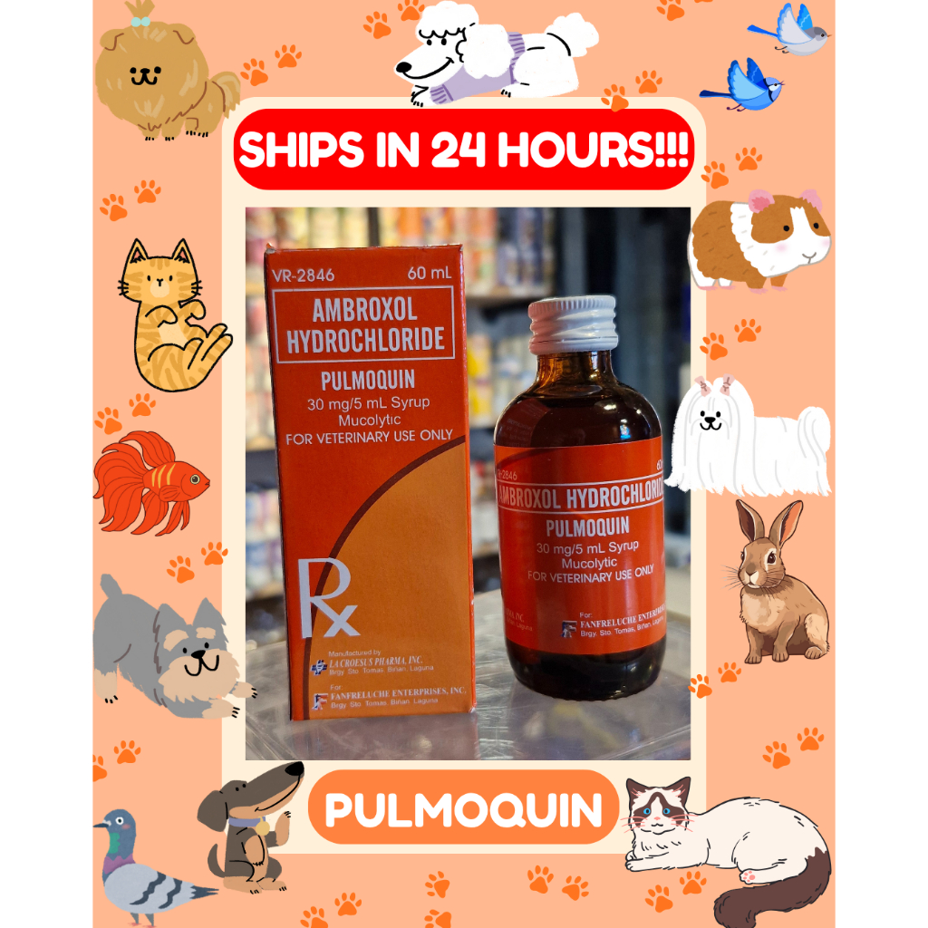 Pulmoquin 60ml - Ambroxol Hydrochloride - Mucolytic For Dogs and Cats ...