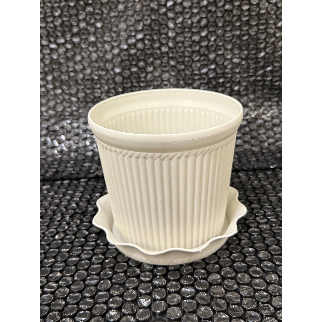 corrugated pot with saucer 11x10 cm / white Corinthian ludu succulent ...