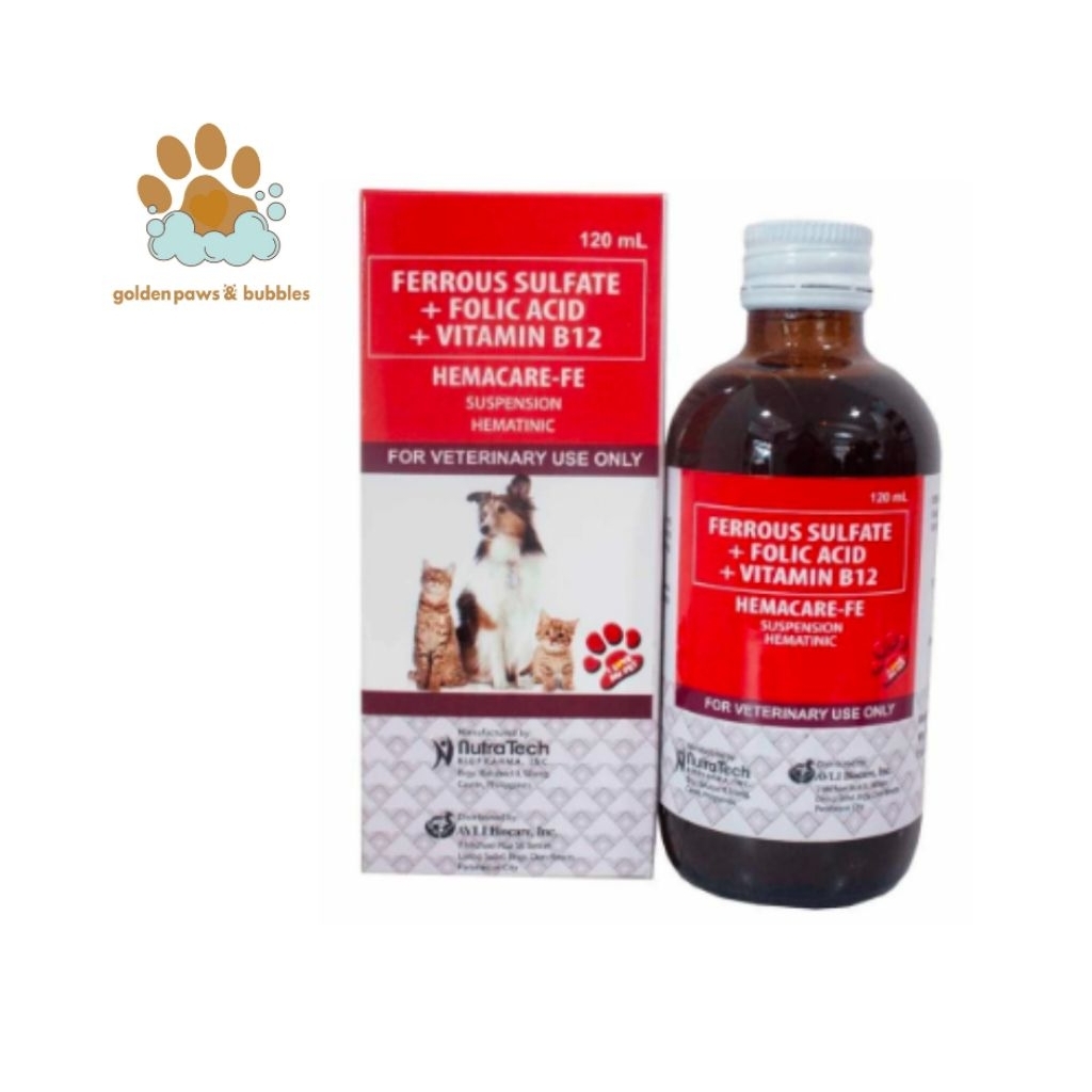 HEMACARE- FE 120 ml syrup | Shopee Philippines