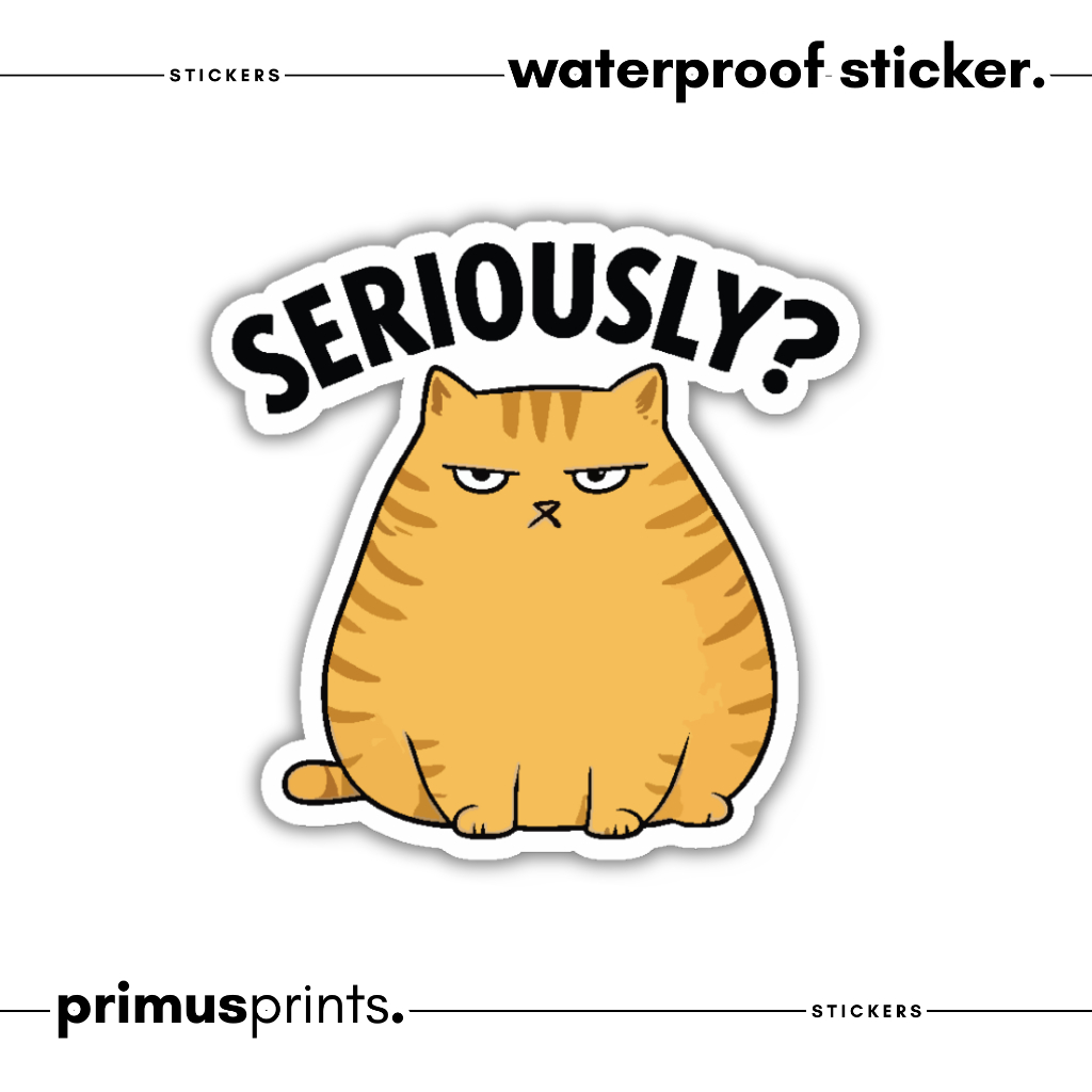 Cat Sticker - Seriously? | Cute Sticker | Meme Sticker | Pet Lover ...