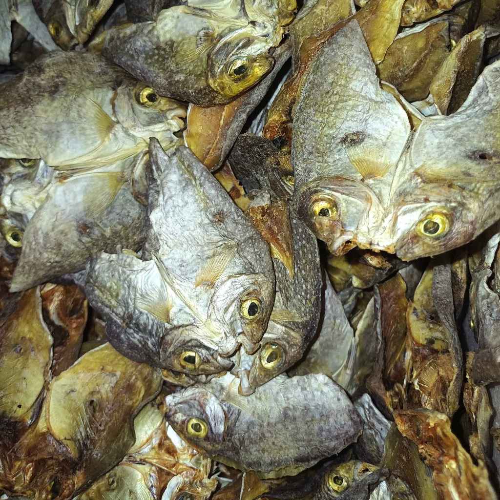 Danggit Dried fish/Tuyo Special Danggit ng Masbate 60g/ Unsalted ...