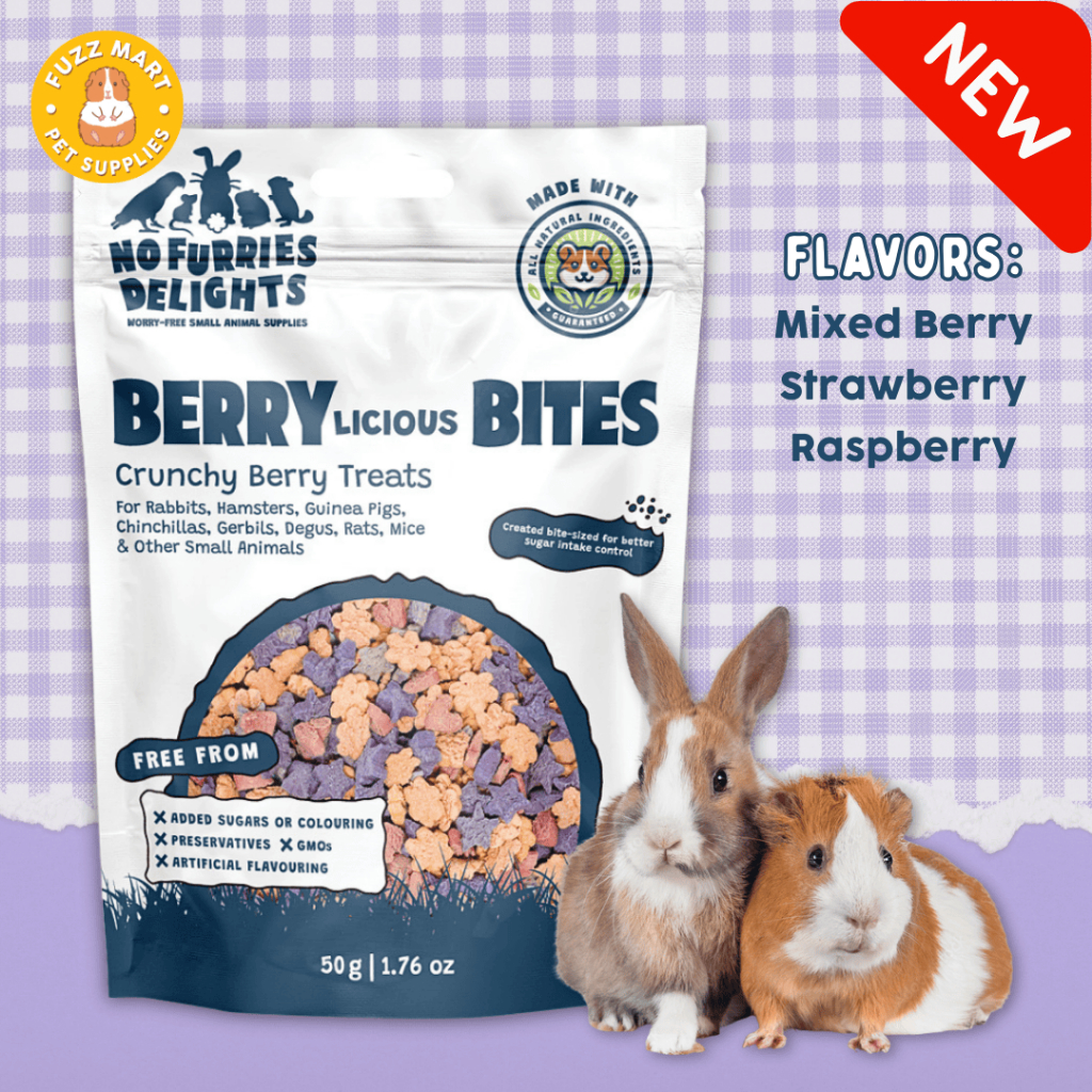 No Furries Delights BERRY-LICIOUS Bites Variety Pack (100g) Healthy ...