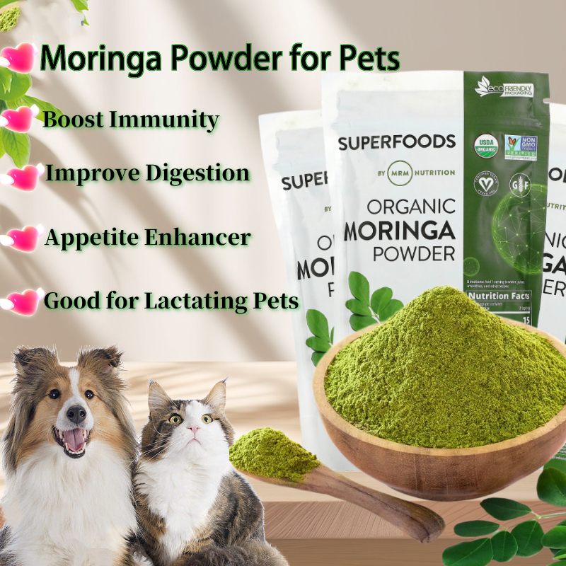 50/100g Pet Moringa Powder Dog Cat Food Supplement Powder antioxidant ...