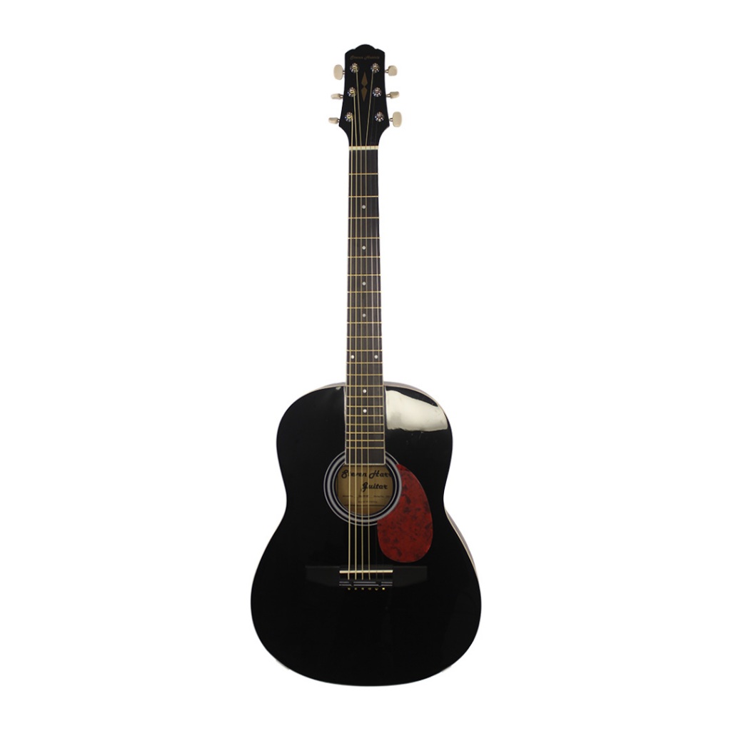 Steven Harris Acoustic Guitar 39" with Truss Rod [CAG-110] | Beginner ...
