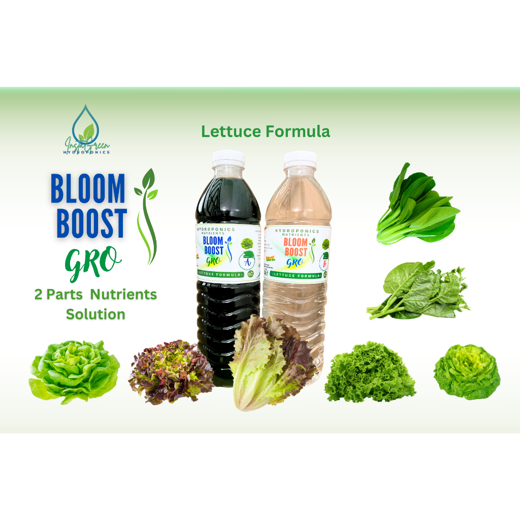 Hydroponics Nutrients Bloom Boost Gro 500ml A & B Set Nutrients ...