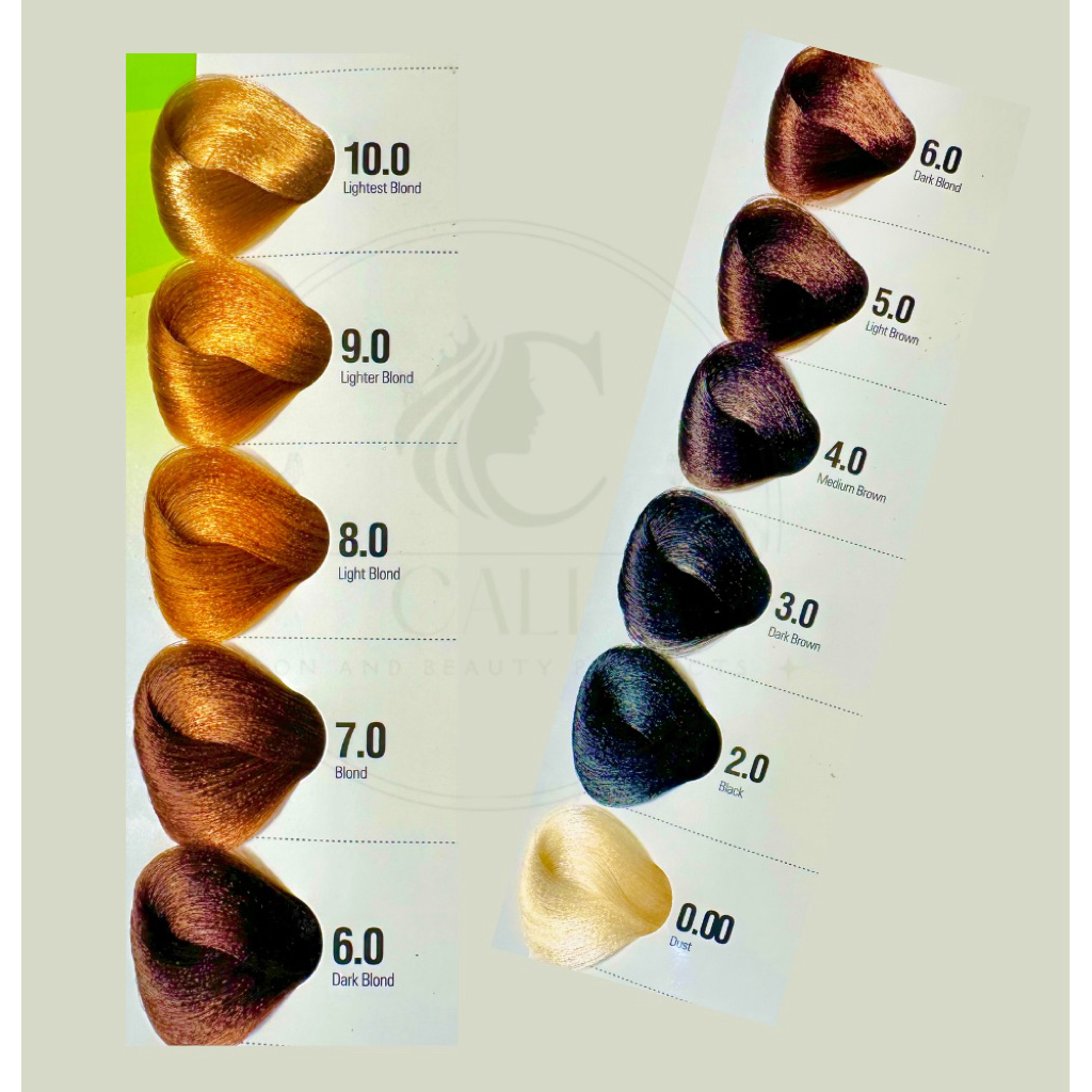Bremod Hair Color Cream – 10.0 | 9.0 | 8.0 | 7.0 | 6.0 | 5.0 | 4.0 | 3. ...