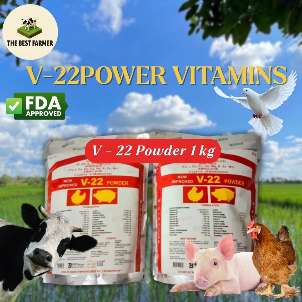 1 kg V22 vitamins powder vitamins for Chicken & Gamefowl vitamins ...