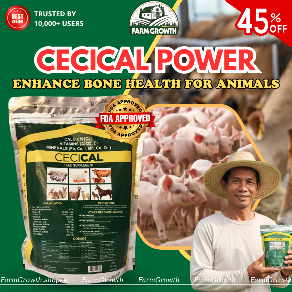 Cecical Powder 1kg for Pig | Bone Strength & Fertility Booster for ...