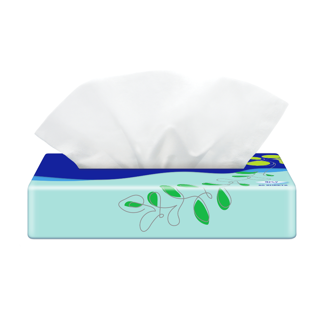 Vinda Deluxe Facial Tissue Soft Pack Small 3ply 50 pulls (single pack ...