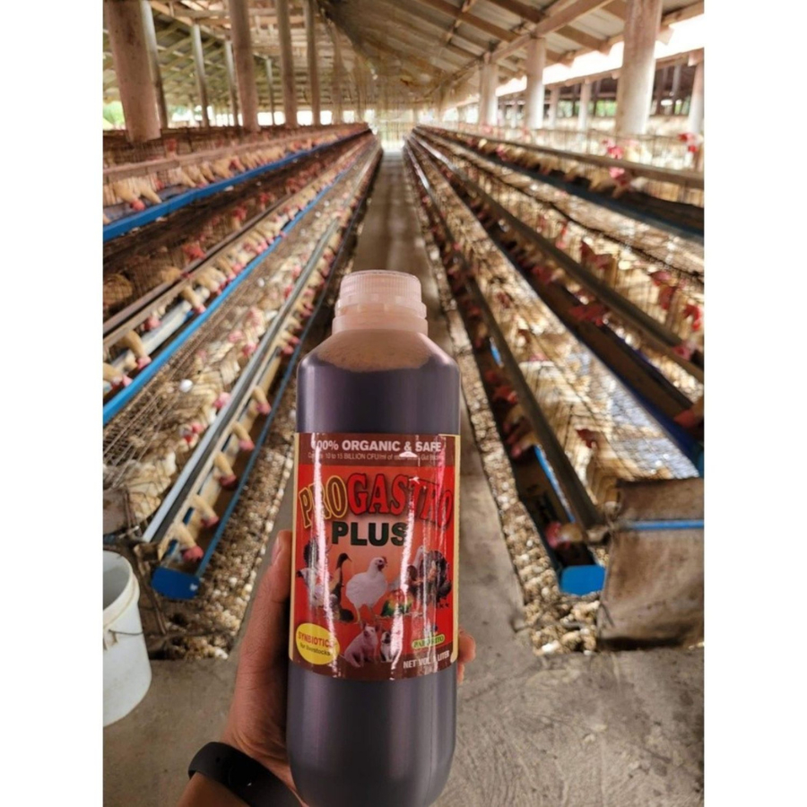 ProGastro Plus 1L Poultry & Swine Probiotics for Broilers Layers Ducks ...