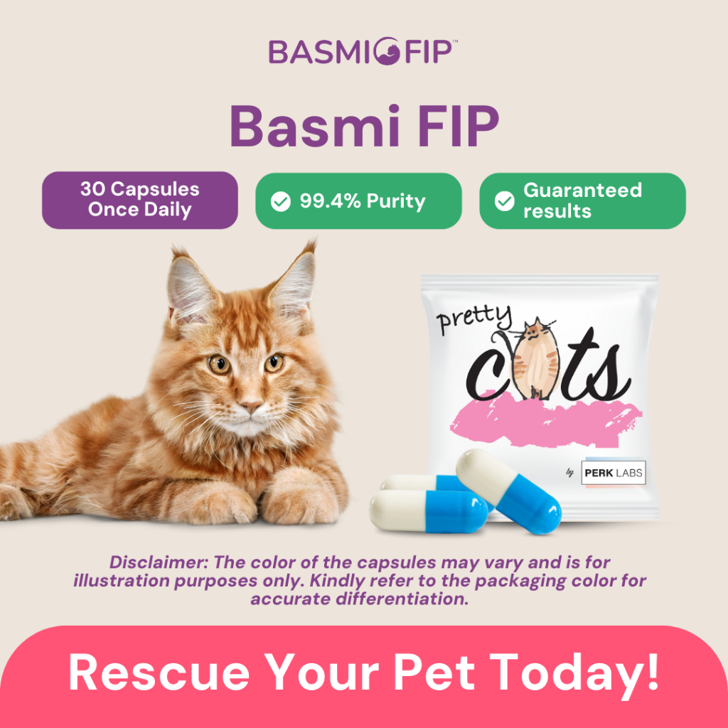 Basmi FIP™ Philippines, Online Shop | Shopee Philippines