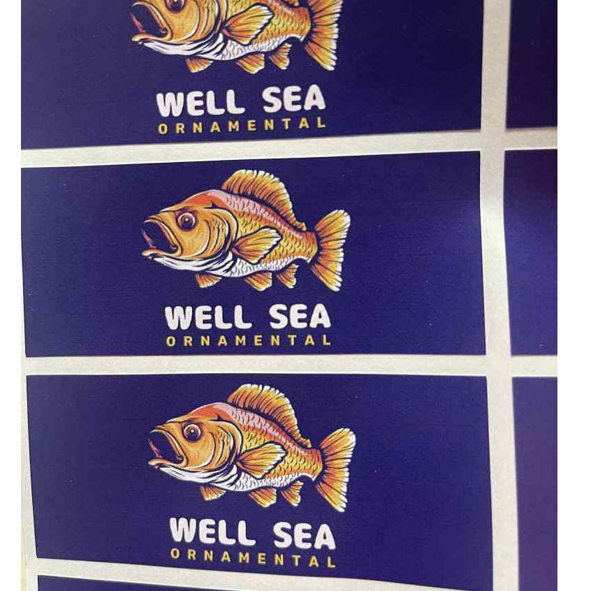 WELLSEA sticker colorful for BETTA - Buy2 Get1 FREE | Shopee Philippines
