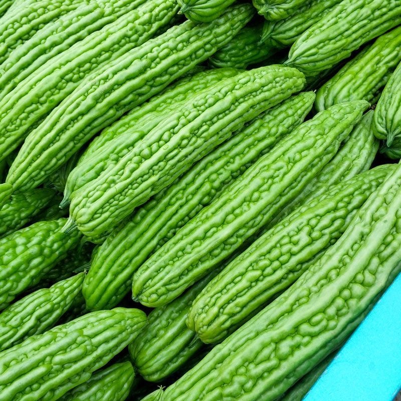 10 bitter aourd seeds - condor seeds - plant seed - vegetable seeds ...