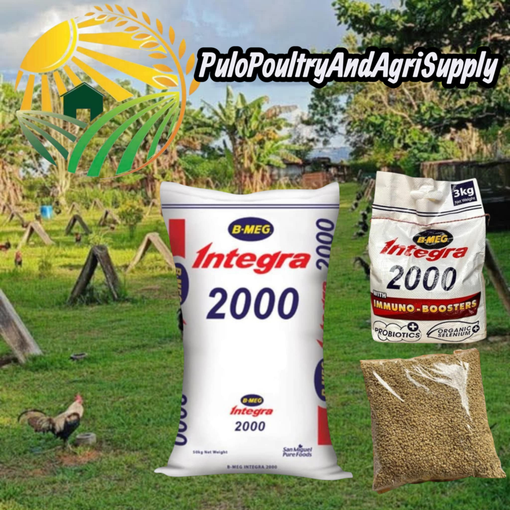 BMEG Integra 2000, Animal CRUMBLE Feeds -Chicken, PIGEON, Hamster ...