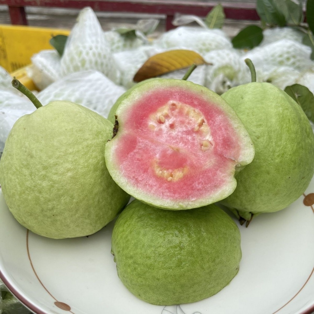 60 seeds Bonsai Guava Seeds for Planting Fruit Plantsd Dwarf GuavaTree ...
