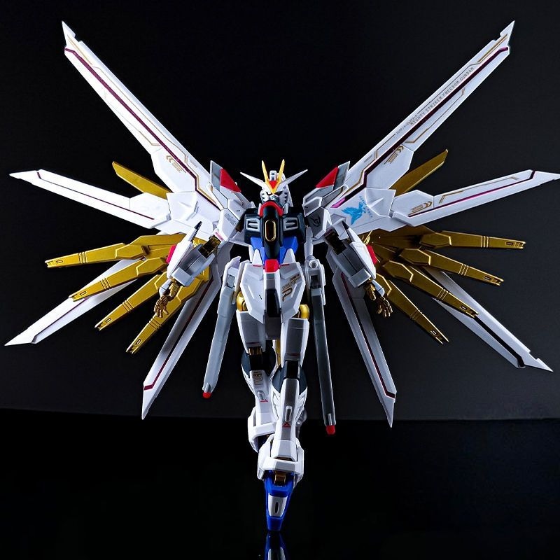 ONHAND MODEL 1/144 SCALE GAO GAO EXTRA ORDINARY WARRIOR with WSD gundam ...
